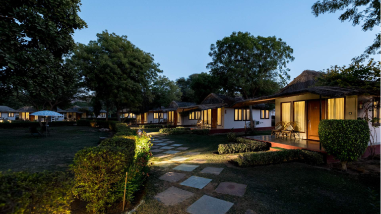 The Sujan Life - imecplanet.com